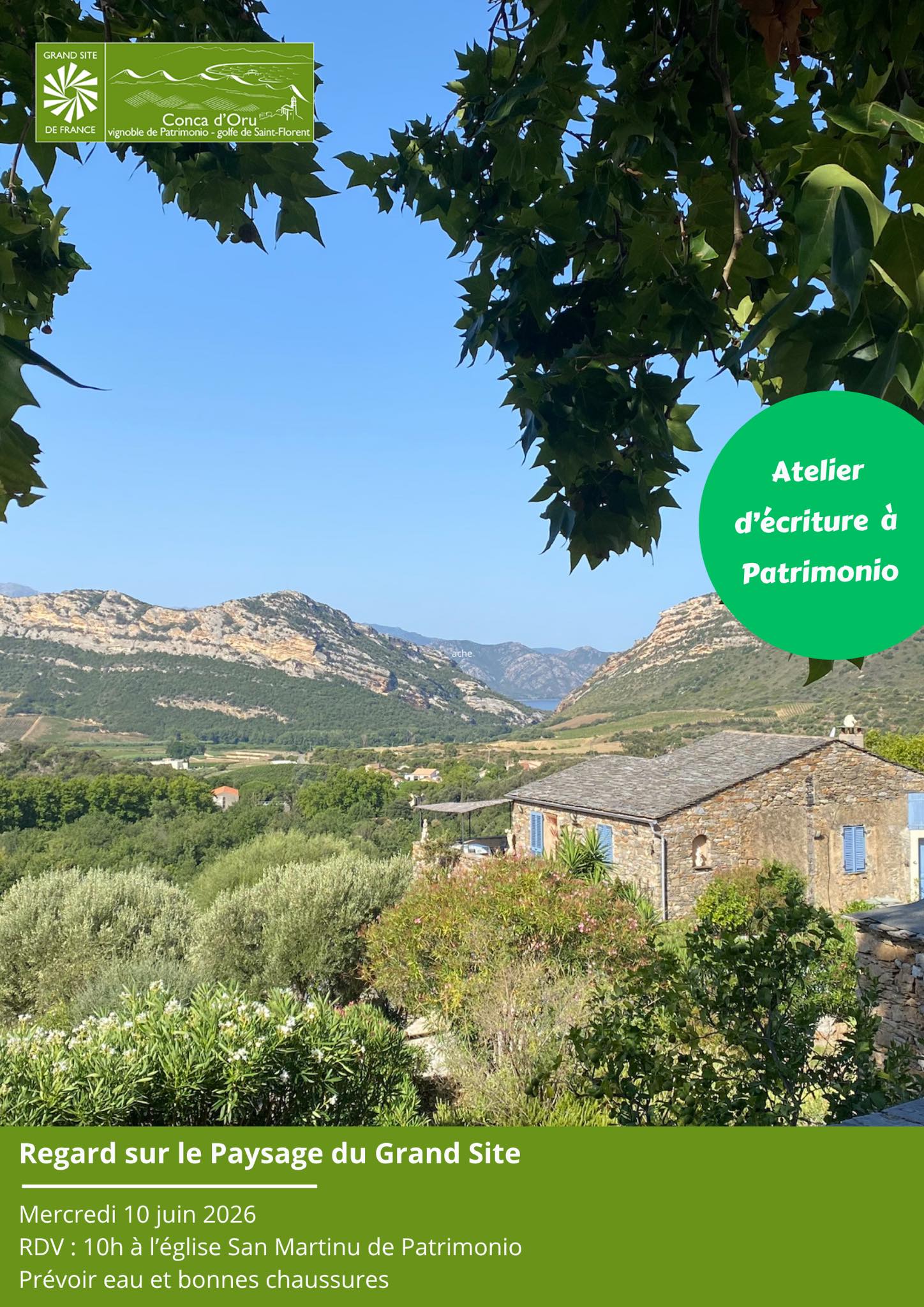 VISITE GUIDÉE DU DOMAINE MARFISI À PATRIMONIO - Saint Florent