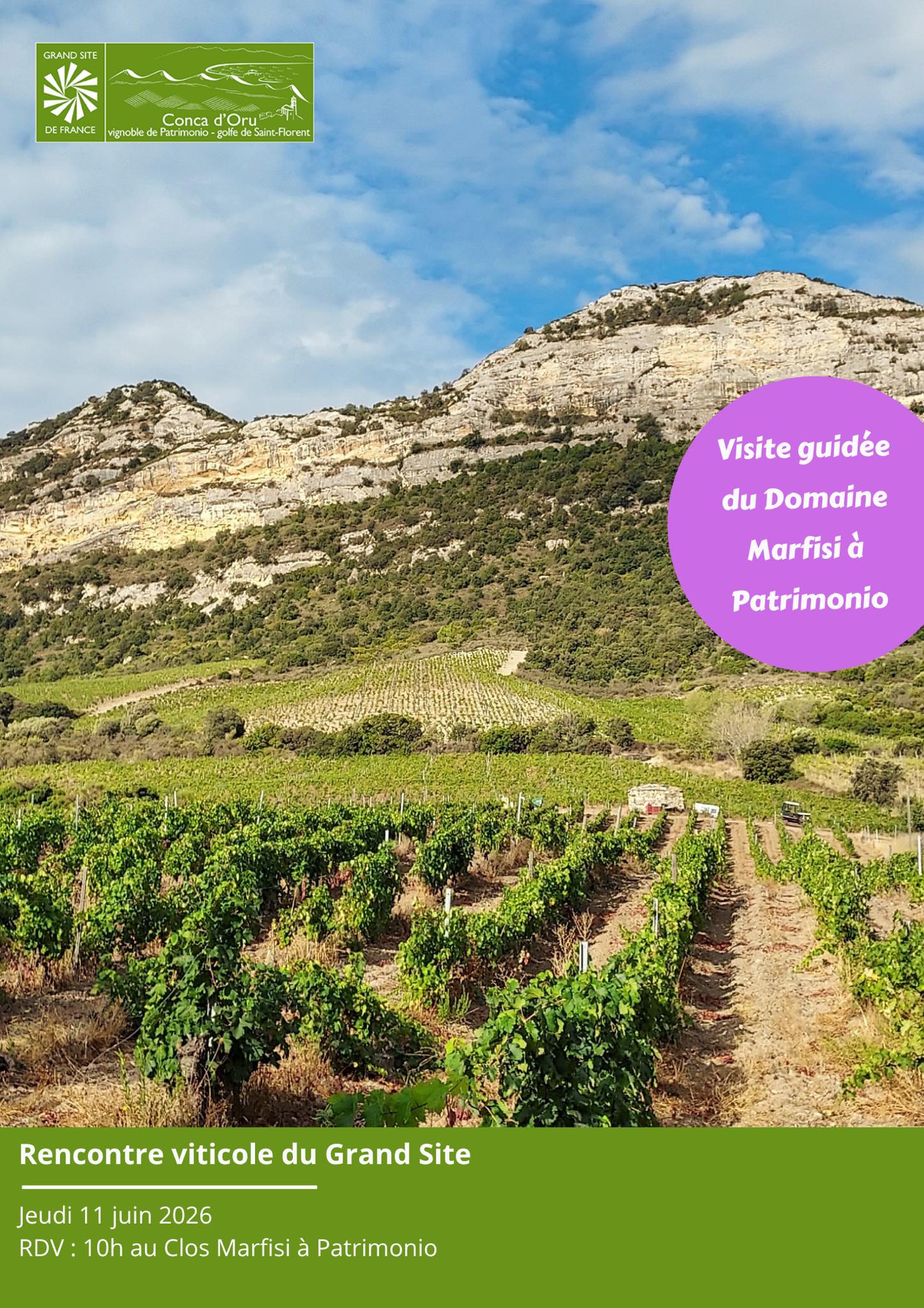 VISITE GUIDÉE DU DOMAINE MARFISI À PATRIMONIO - Saint Florent